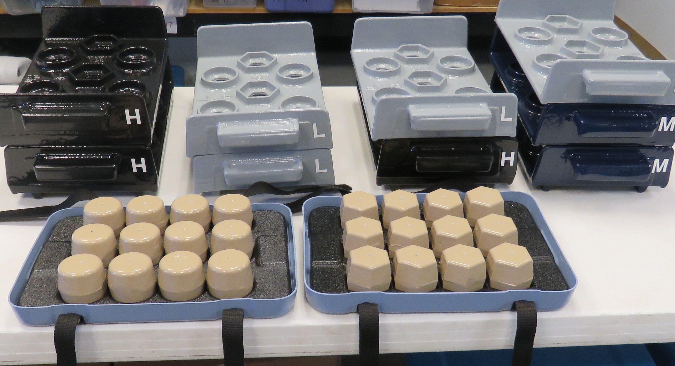 CTWTSET19 Carton and Weight - Bases of Virginia